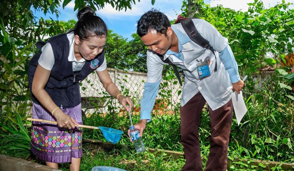 Dengue | Western Pacific Health Data Platform